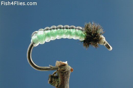 Juicy Grub Black & Lime Fly - Fishing Flies with Fish4Flies Worldwide